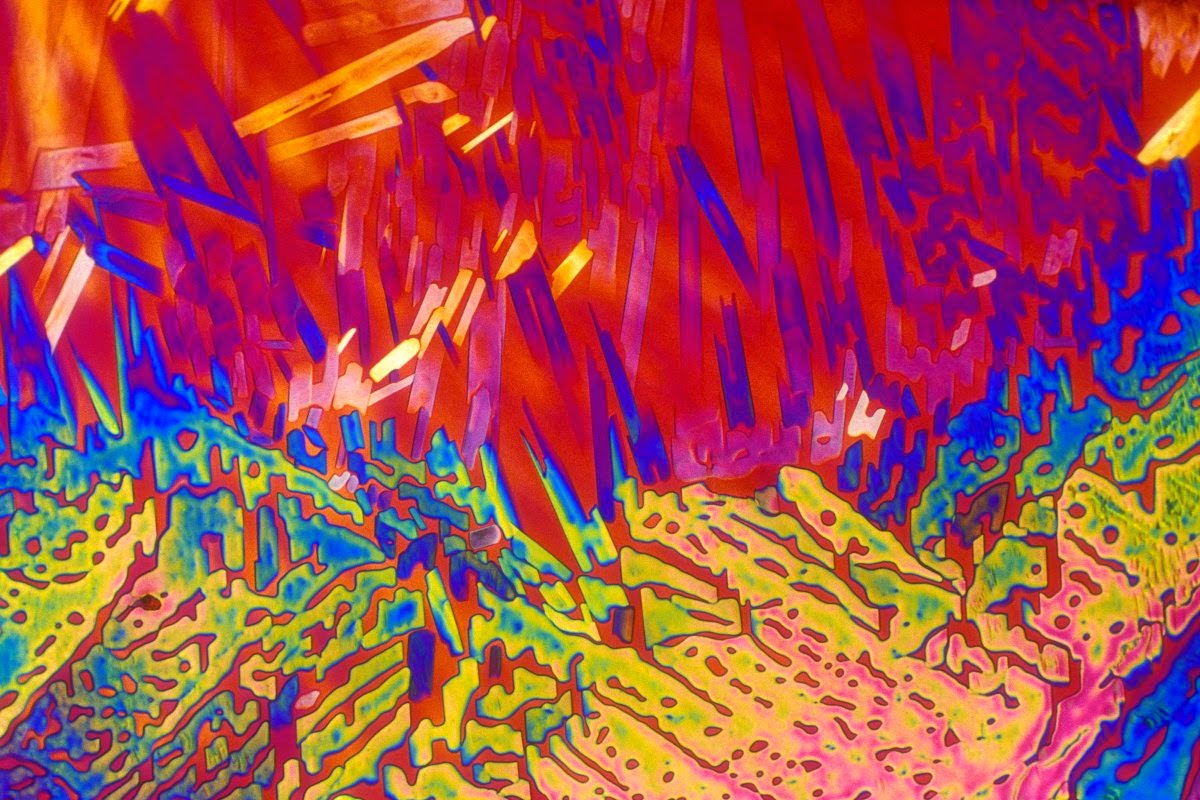 Amazing Images Of How Alcohol Looks Under A Microscope