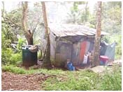 Mataisau: Our Island Home