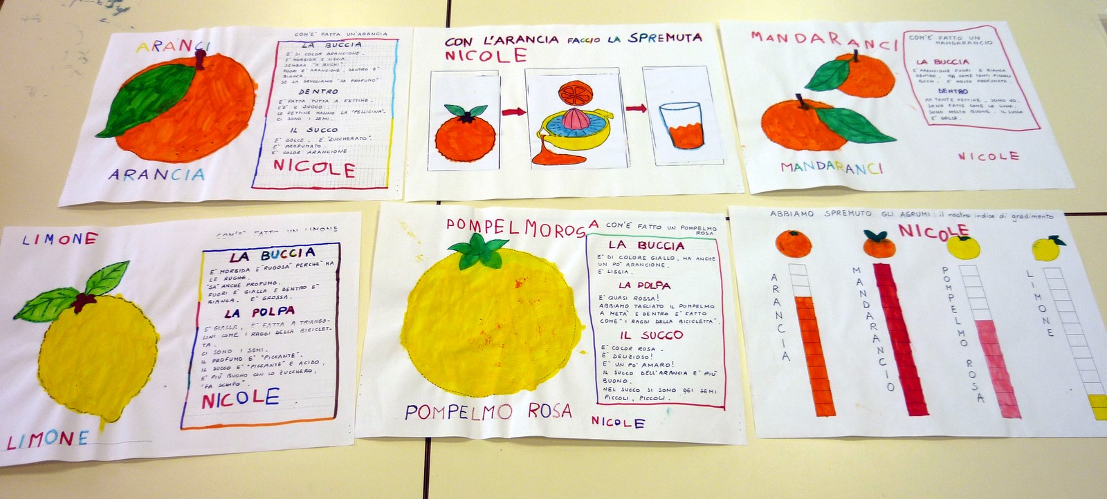 Maestra Caterina: Frutta invernale