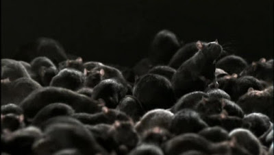 The Rats (2002) ~ Horor i SF Filmovi - Opis i radnja filma