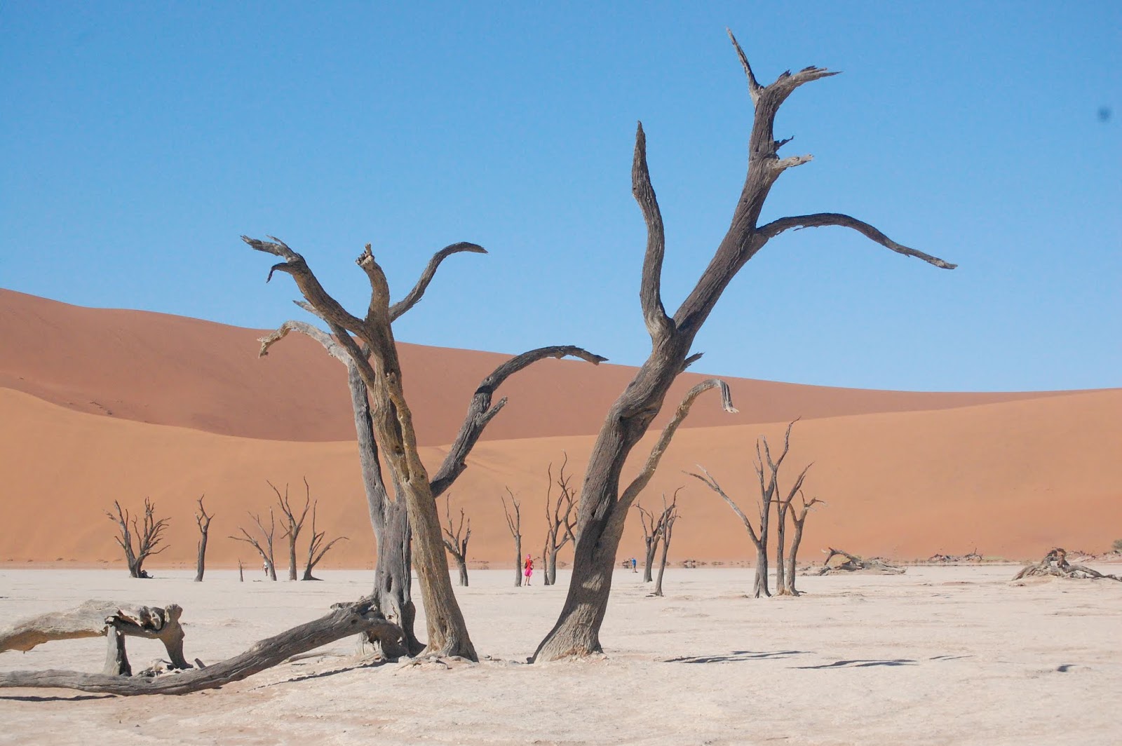 Namíbia: roteiro de 5 dias neste país africano | Apaixonados por ...