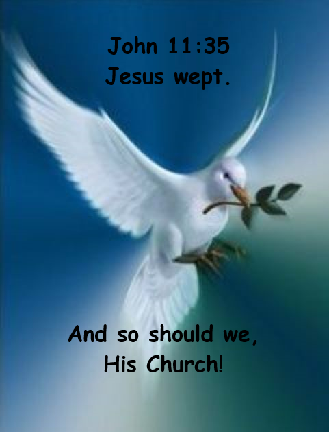 Ray Skilton: Why Did Jesus Weep!