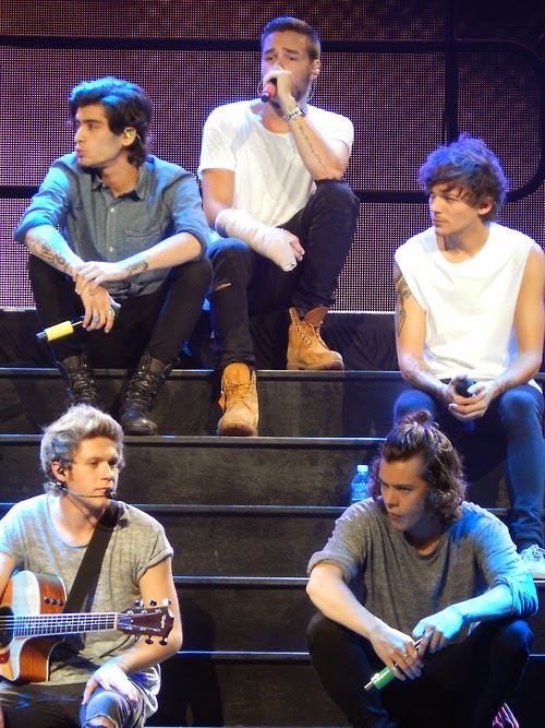 One Direction Girls ♥: Concierto en Charlotte, EEUU.-Where We Are Tour ...