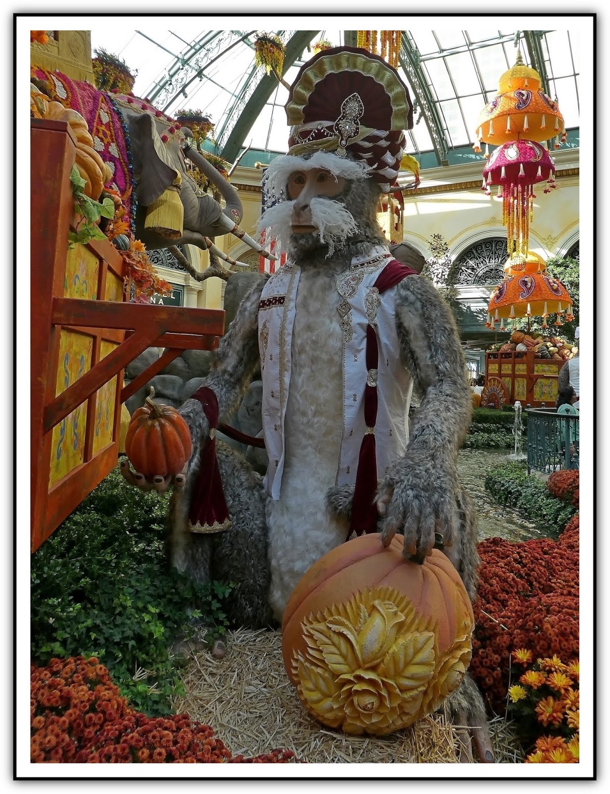 Ken's Photo Gallery: Bellagio’s Conservatory & Botanical Garden – 2019 ...