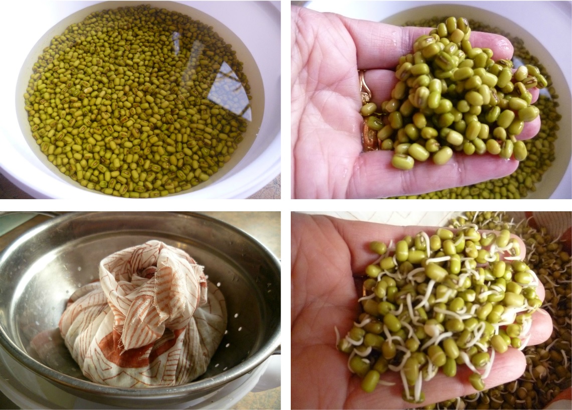 Red Camargue Wild Rice and Sprouted Moong bean Salad | simply.food