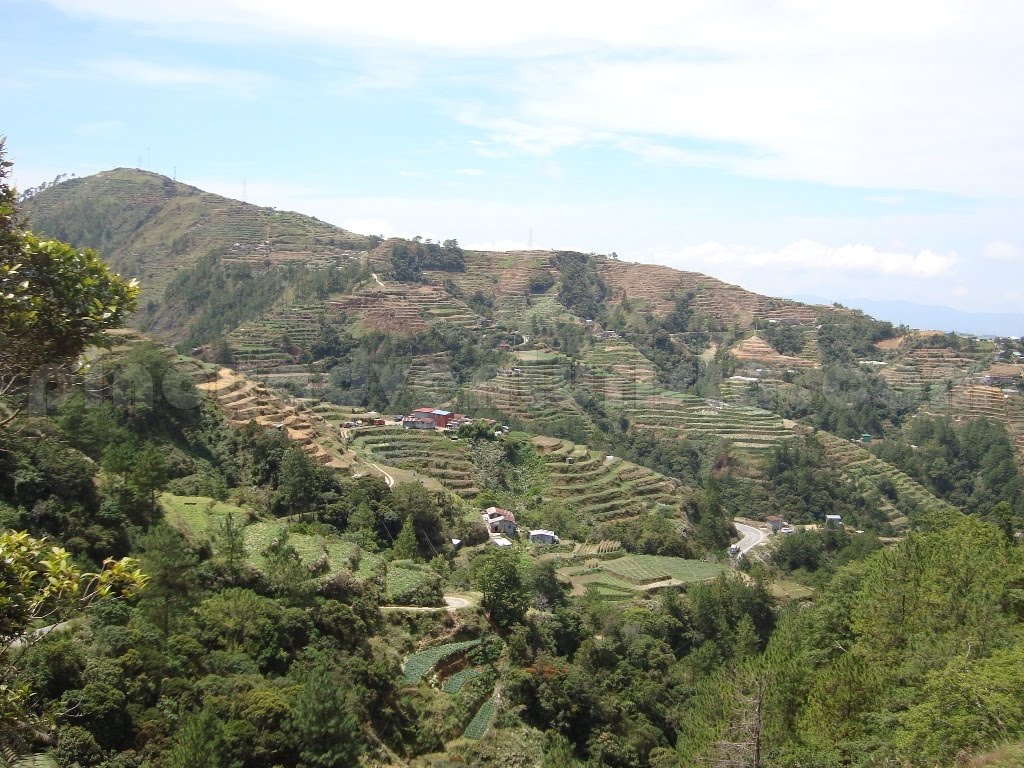 Benguet - Hiking Mt. Timbak (Timbac/Singakalsa), the 3rd Highest ...