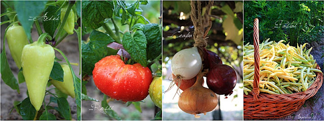 Angel's food: Pastai conservate cu rosii