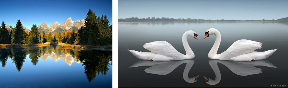 PROWEB: FISA DE LUCRU REFLEXIA SI REFRACTIA LUMINII