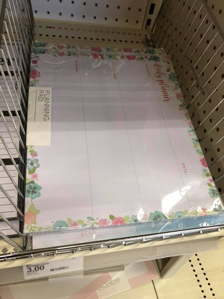 Life Inside the Page: Target: Bullseyes Playground - December 30, 2018