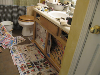 Robin T Crafty: Spray Painting Cabinets - Can It Be Done?