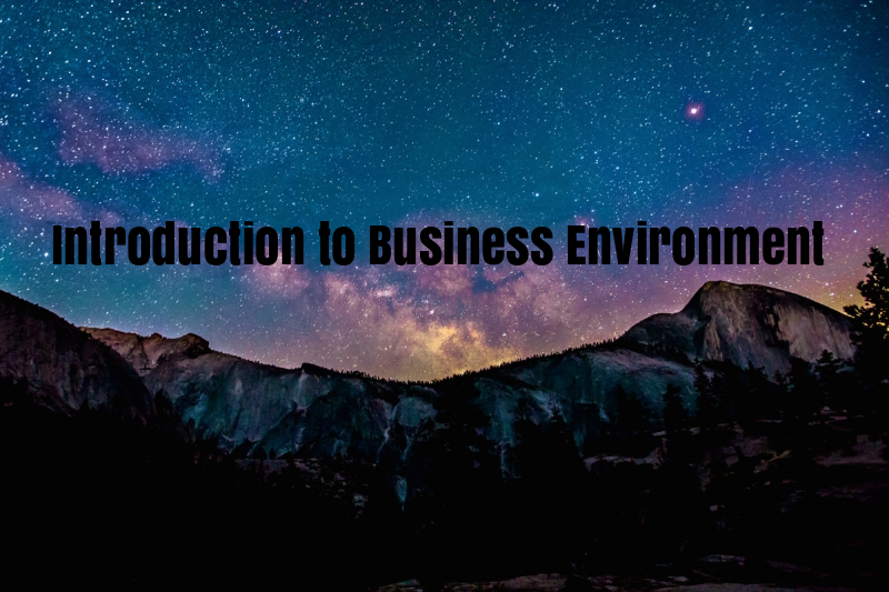 Unit 1: Introduction to Business Environment