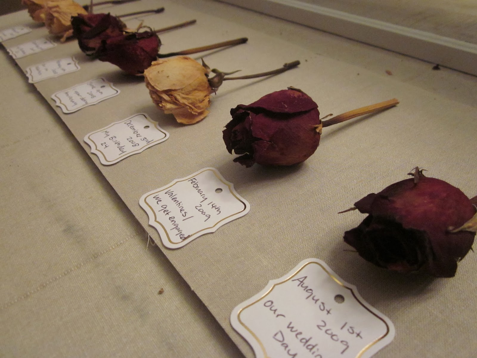 Queen B Creates: Rose Shadow Box