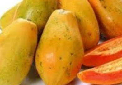 Anim Agro Technology: SABUN PAPAYA - APAKAH DIA?