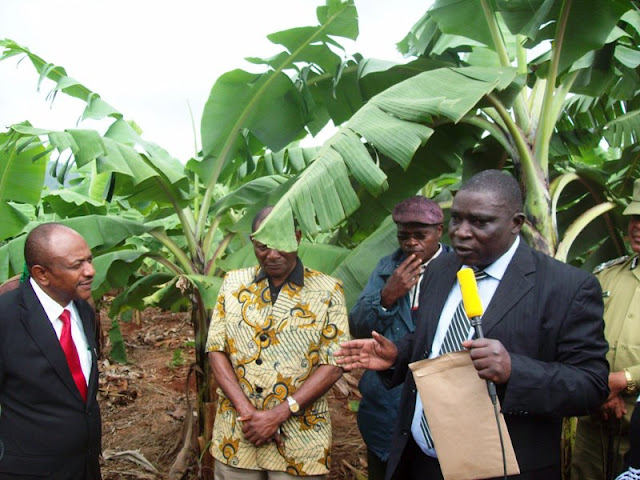 Bukoba Jamii: Kilimo Cha Migomba Kuboreshwa Kagera