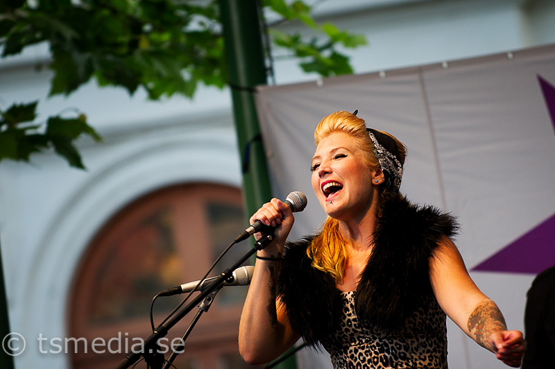 Sweden Festival | Brings events to you | Photo Film Reviews: Musik på ...