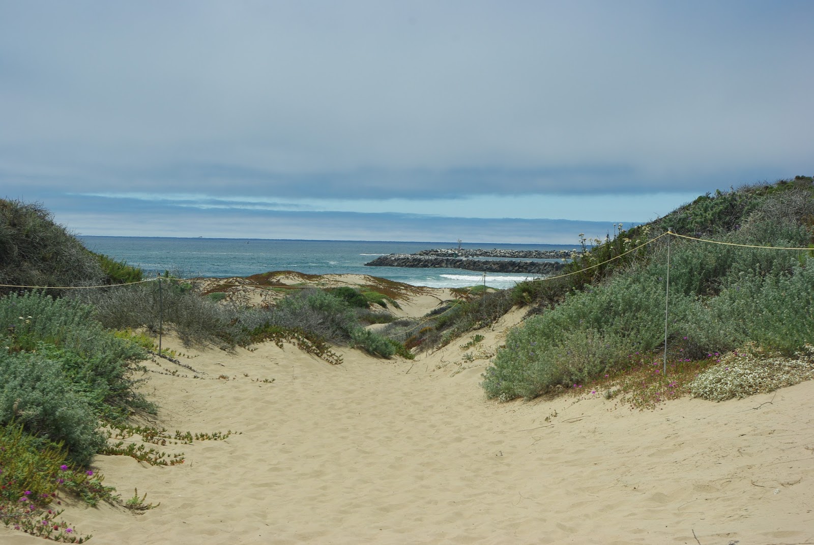 Jana's Place: The Morro Bay Sand Spit