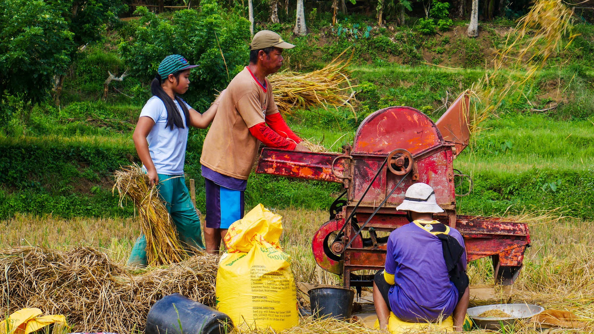 Postcard of a Family that Works Together in Sibuyao, Torrijos ...