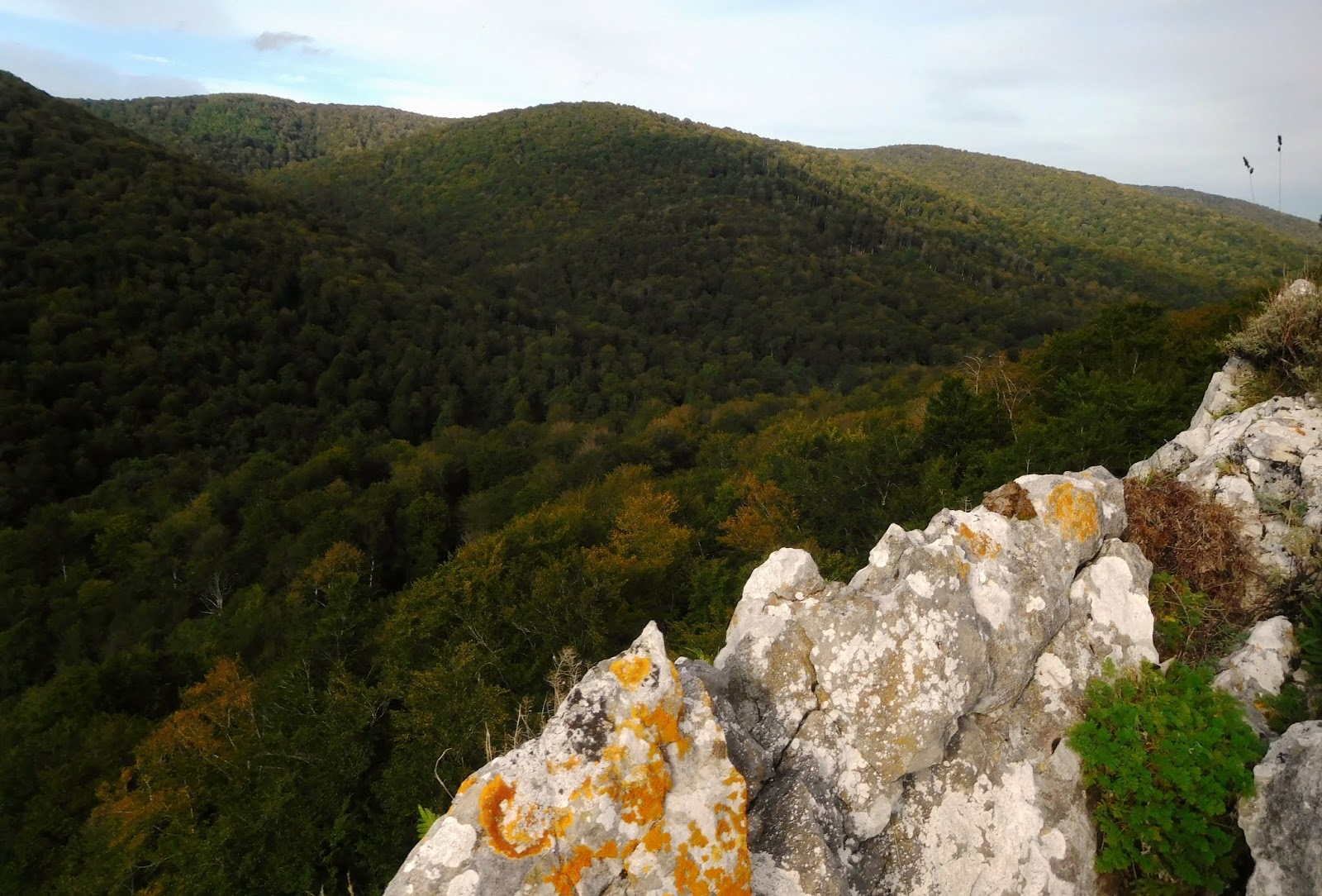 SARABEKO HAITZA desde el VALLE DE SARABE ( URDIAIN ) 159