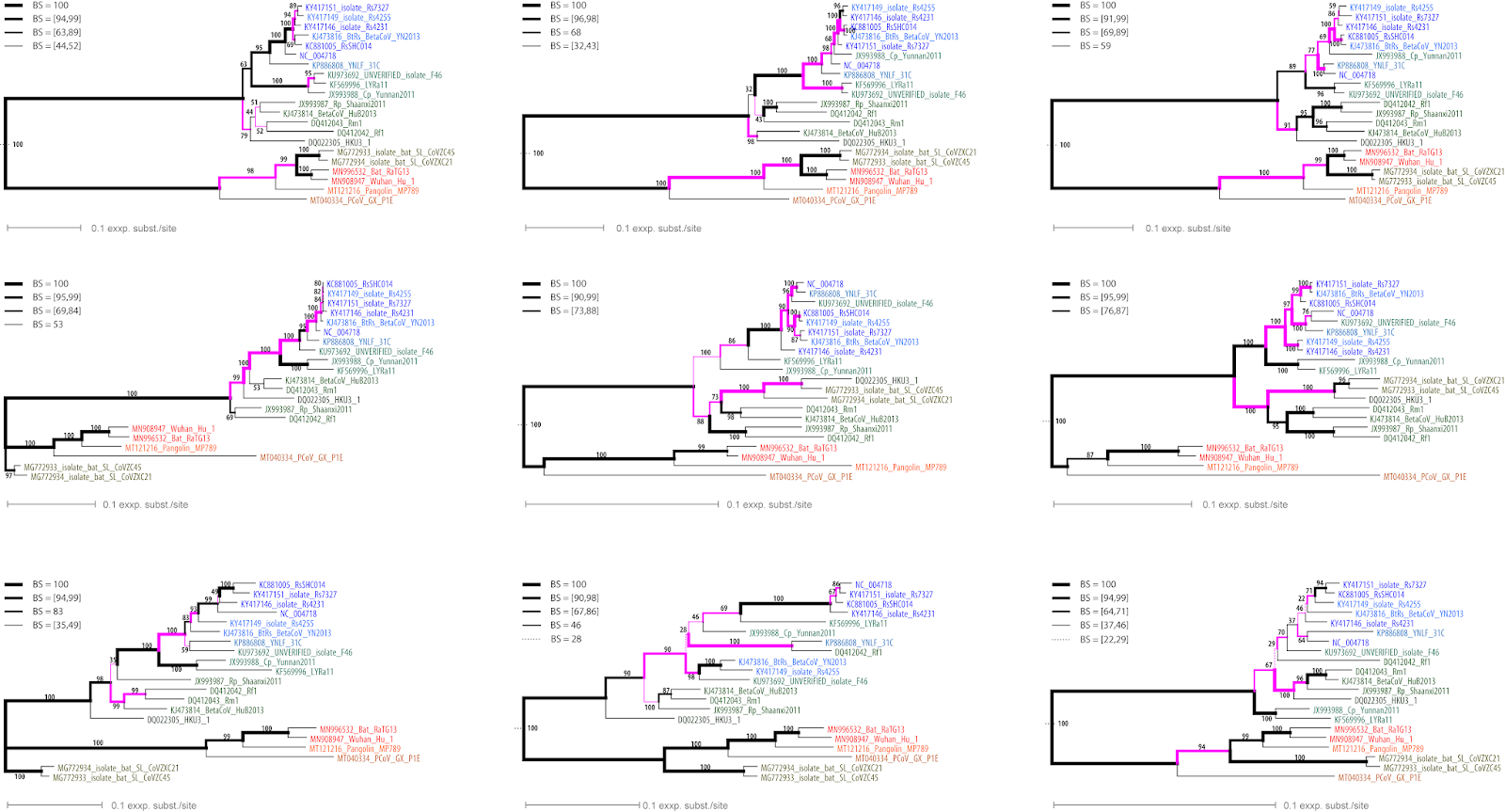 The Genealogical World of Phylogenetic Networks: Hack and fish ... for ... The Genealogical World of Phylogenetic Networks: Hack and fish ... for ...