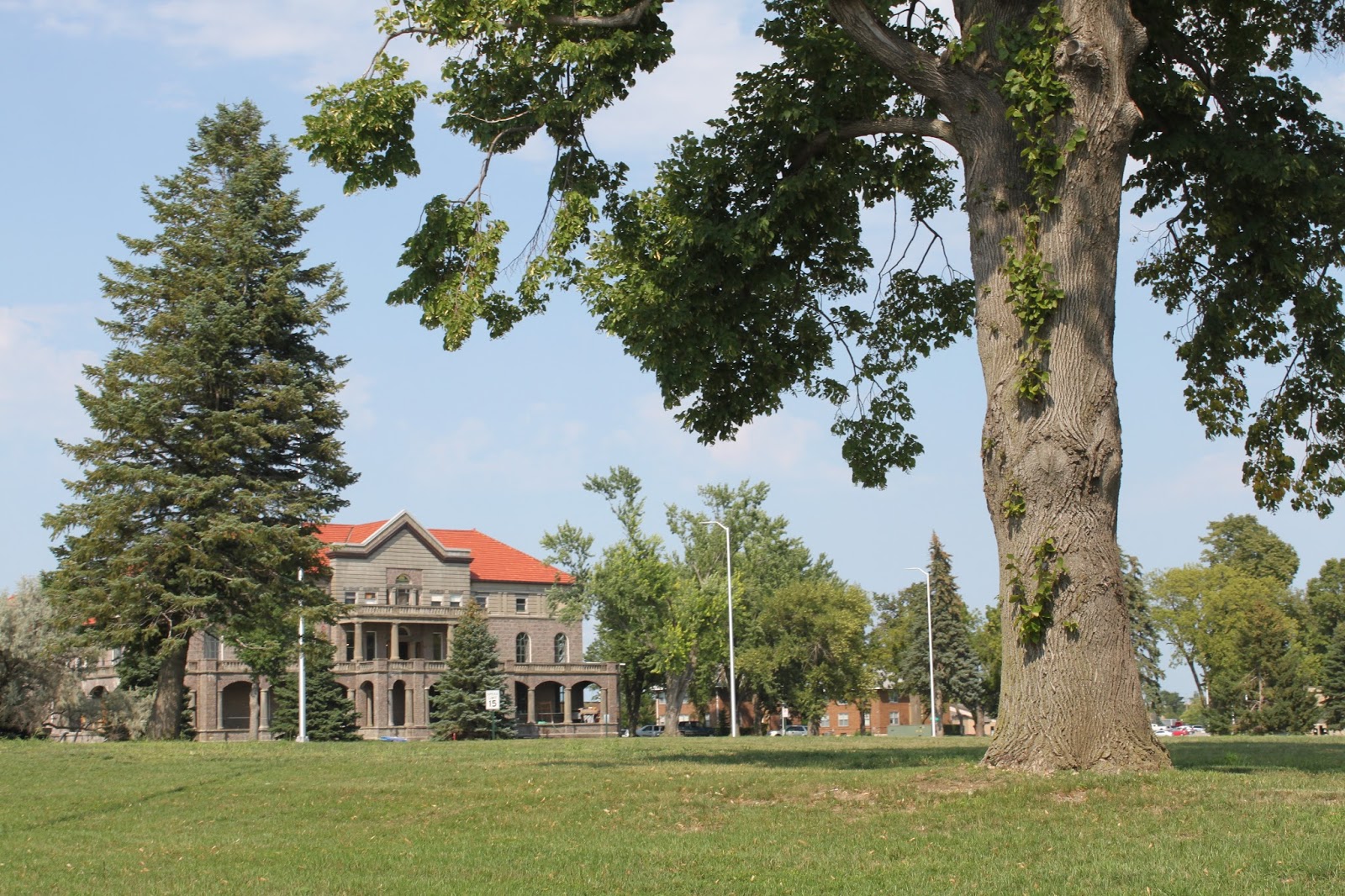 Victoria Jo's Family Stories: Jorgena Torkelson (1862-1912) (52 ...