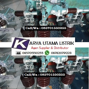 Jual Load Break Switch LBS Type ISA-G Harga Murah di Karya Listrik ...