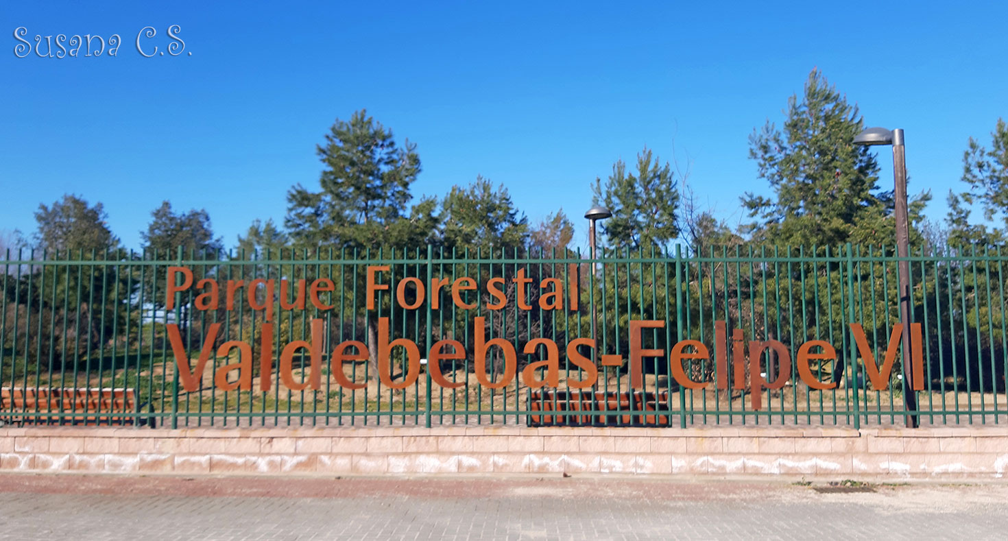 Parque Forestal de Valdebebas - Felipe VI (Madrid)