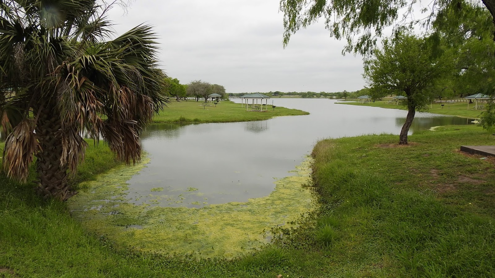 Travel with Kevin and Ruth: Some bird watching at Lake Corpus Christi ...