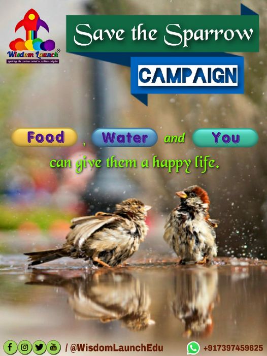 Wisdom Launch’s Save the Sparrow Campaign 2021 - Scholastic World ...