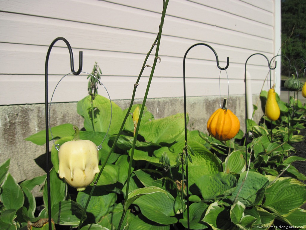 Dutch Girl Originals: Gourds On A Hook