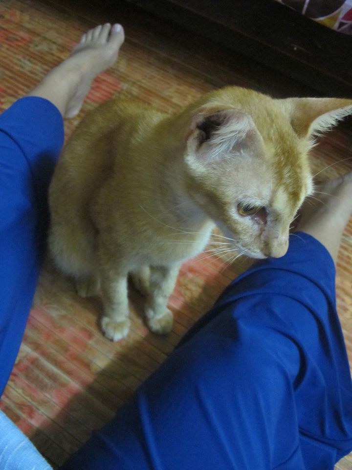 makhluk tak dapat kulupakan