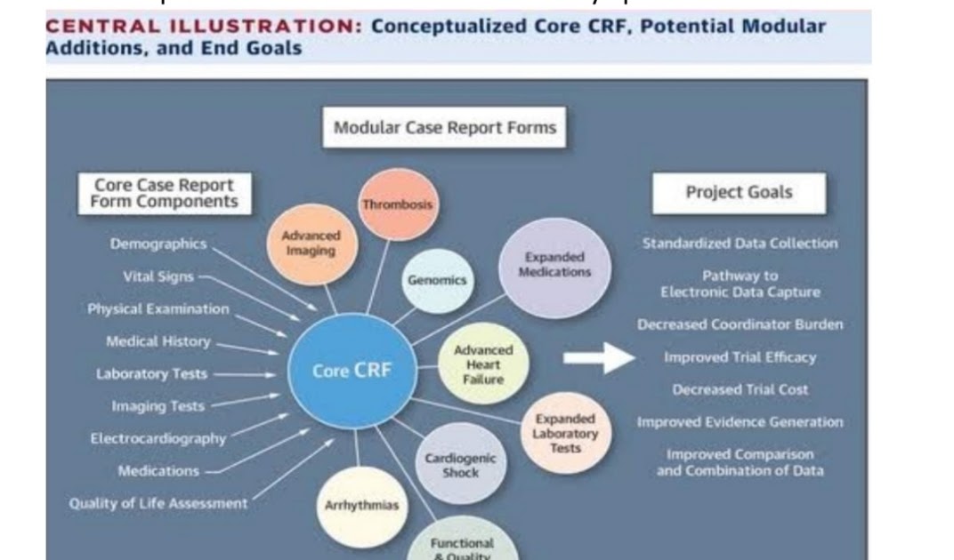 CRF Development From Protocol