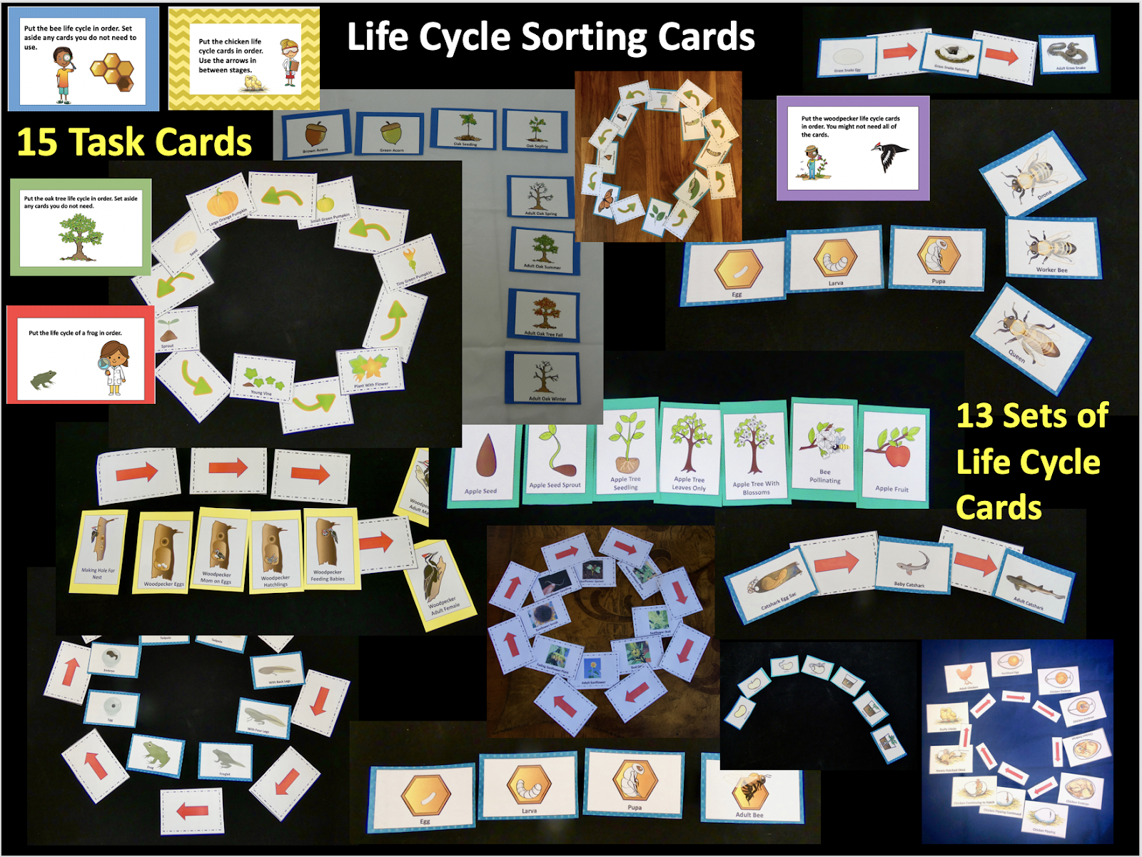 Life Cycle Sorting Cards NGSS 3-LS1-1 and Utah SEEd 3.2.1 - Teaching ...