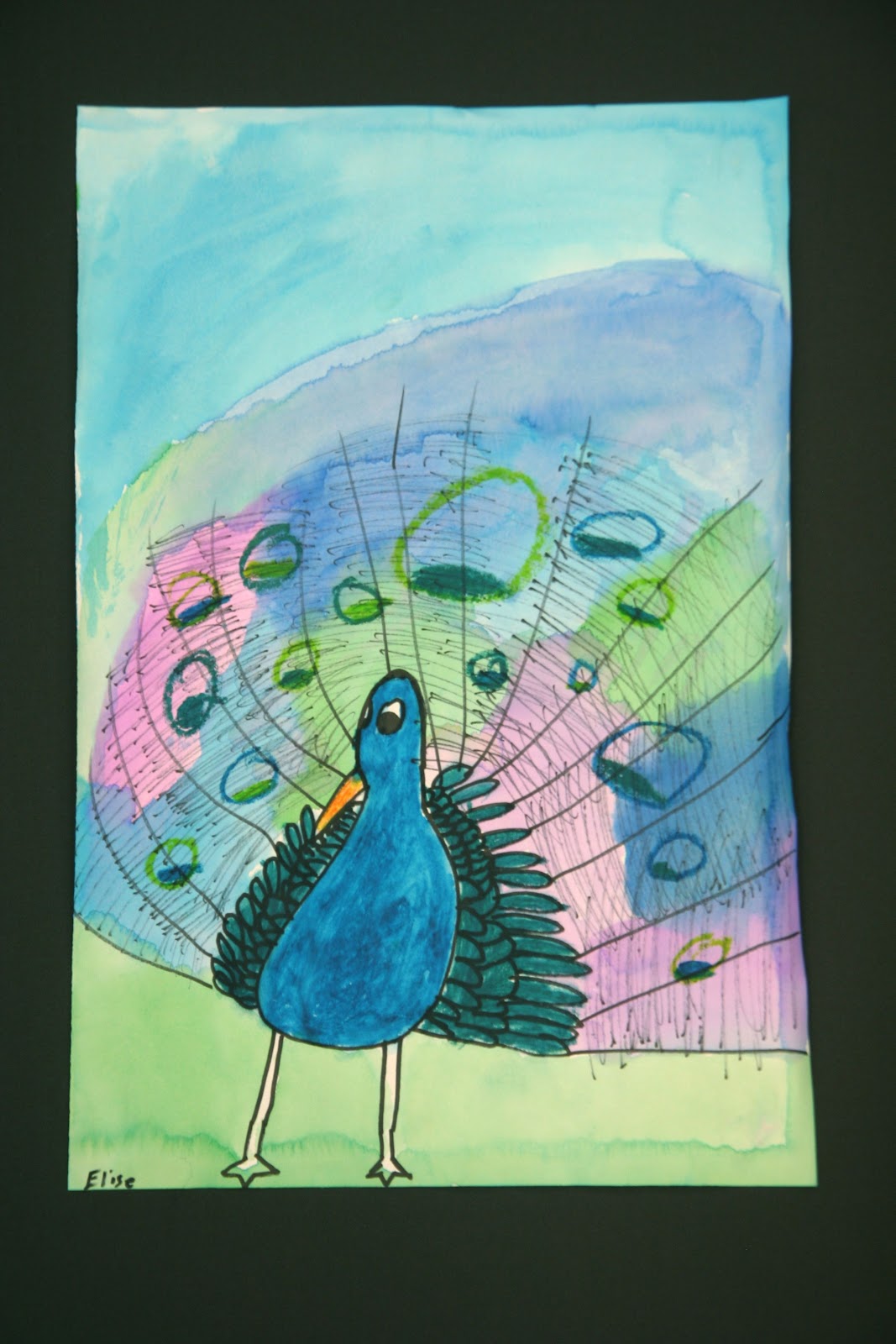 Splish Splash Splatter: Fancy Peacocks