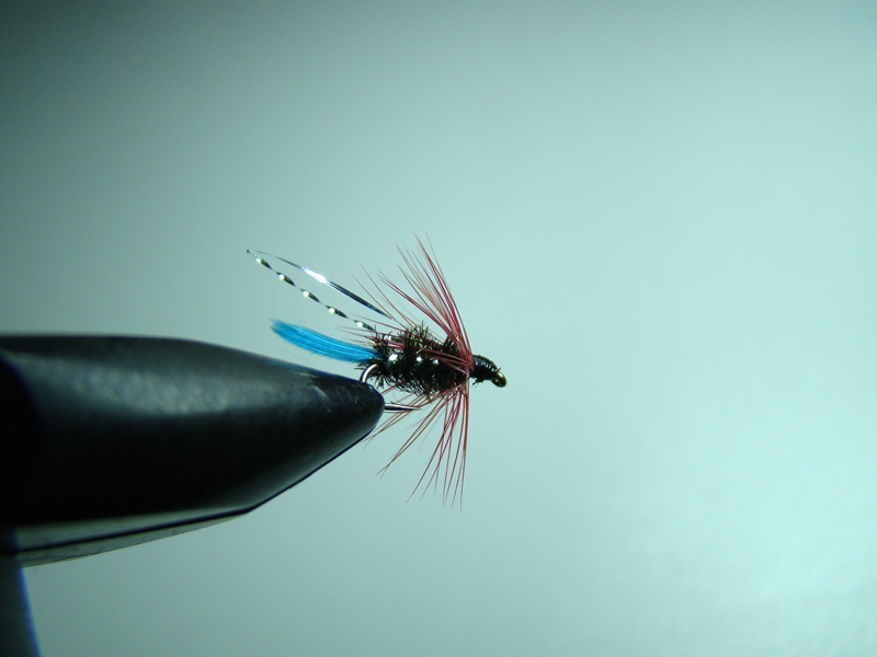 Pescuit cu musca artificiala: Taparina CLEAN