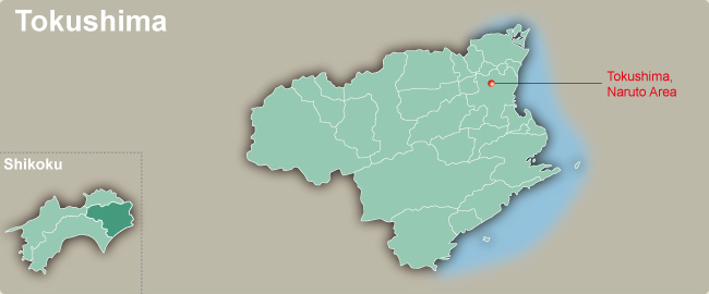 Tokushima Map of Japan Region | Regional City Maps of Japan