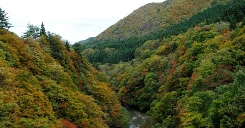 世界の英語方言・スラング大辞典: boonies の意味・解説・用法・例文