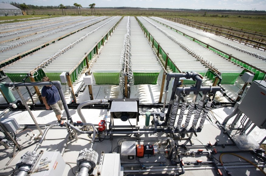 Algae Biofuel Factory