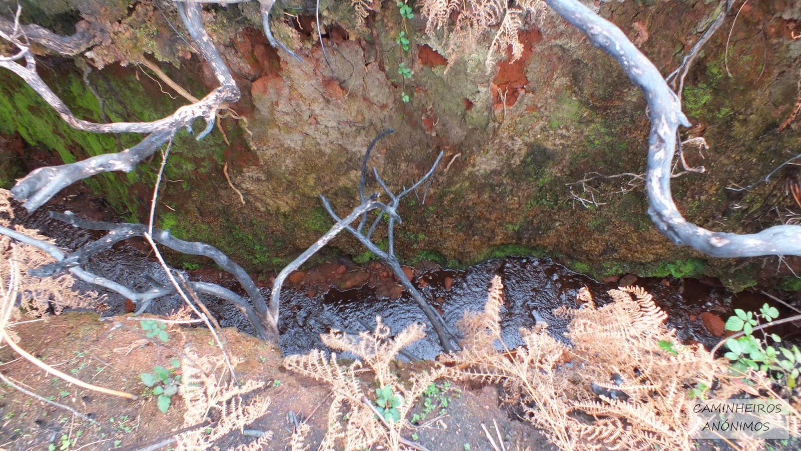 Caminheiros Anónimos Levadas da Madeira : Levada Grande (Achadas da Cruz)