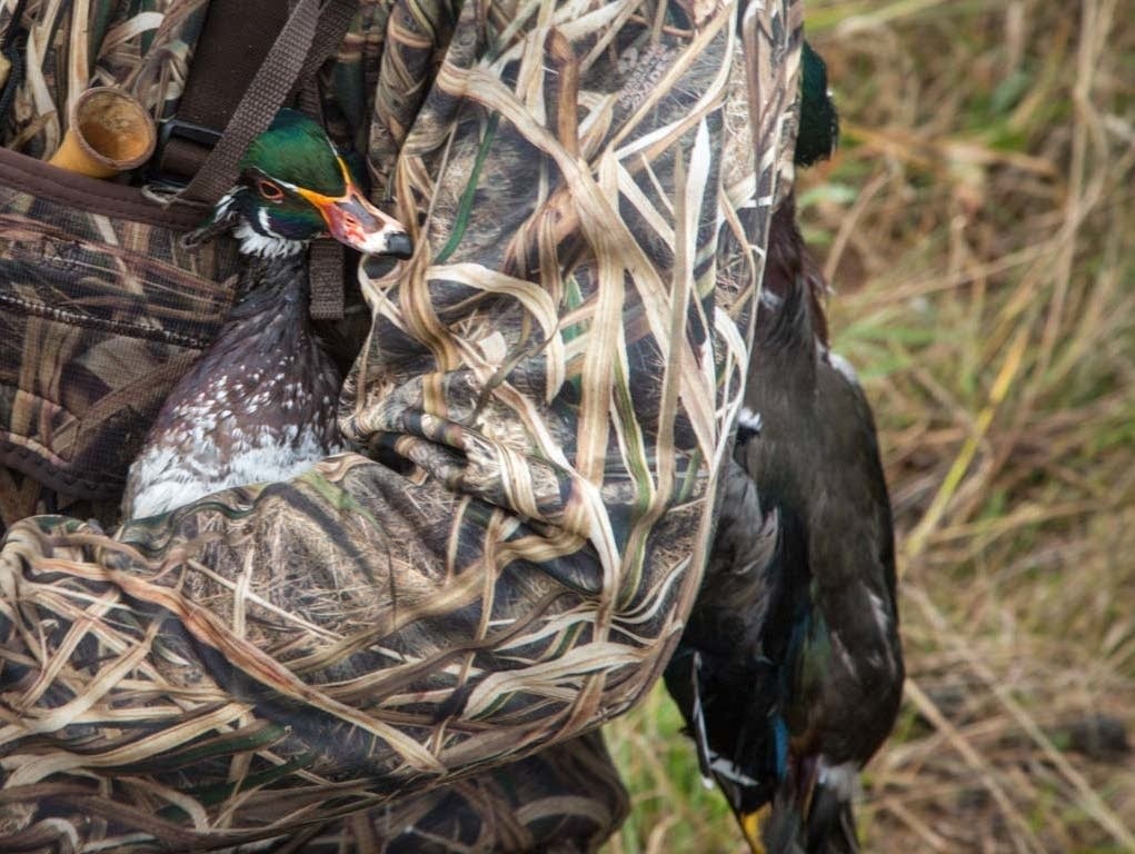 Fruitful Duck Hunting Tips to Make a Great Hunt on Your Next Duck ...