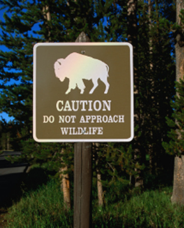 Ann Erdman: Freedom Tour -- Animal Signs