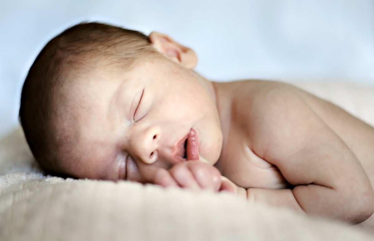 Diane Lott Photography