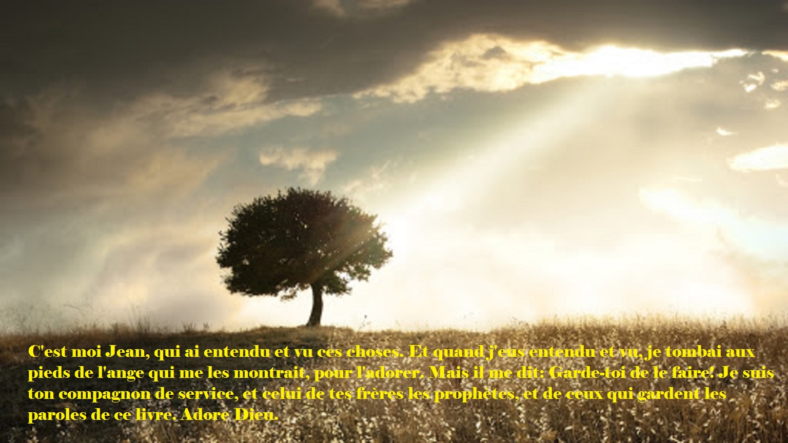 Sur le Chemin du Retour: Apocalypse 22