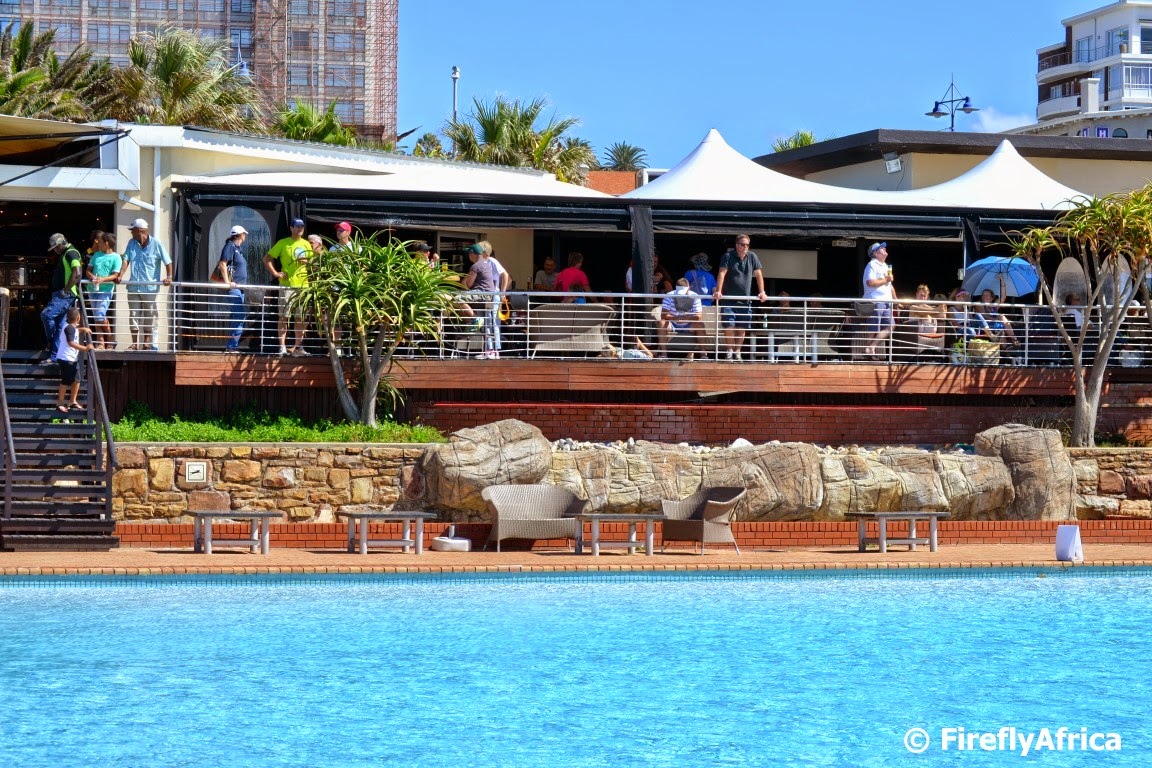 Port Elizabeth Daily Photo: March 2015