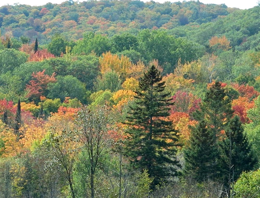 Toronto Grand Prix Tourist - A Toronto Blog: Fall Colours 2019 - A ...