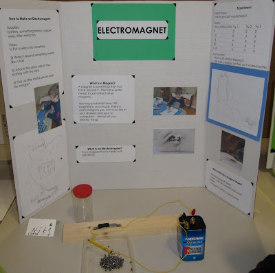 Itinerant Oak - A Family Journey: Science Fair: Nik's Electromagnetism ...