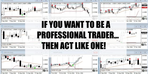 How to Become a Professional Forex Trader the Right Way | Bornean Forex ...