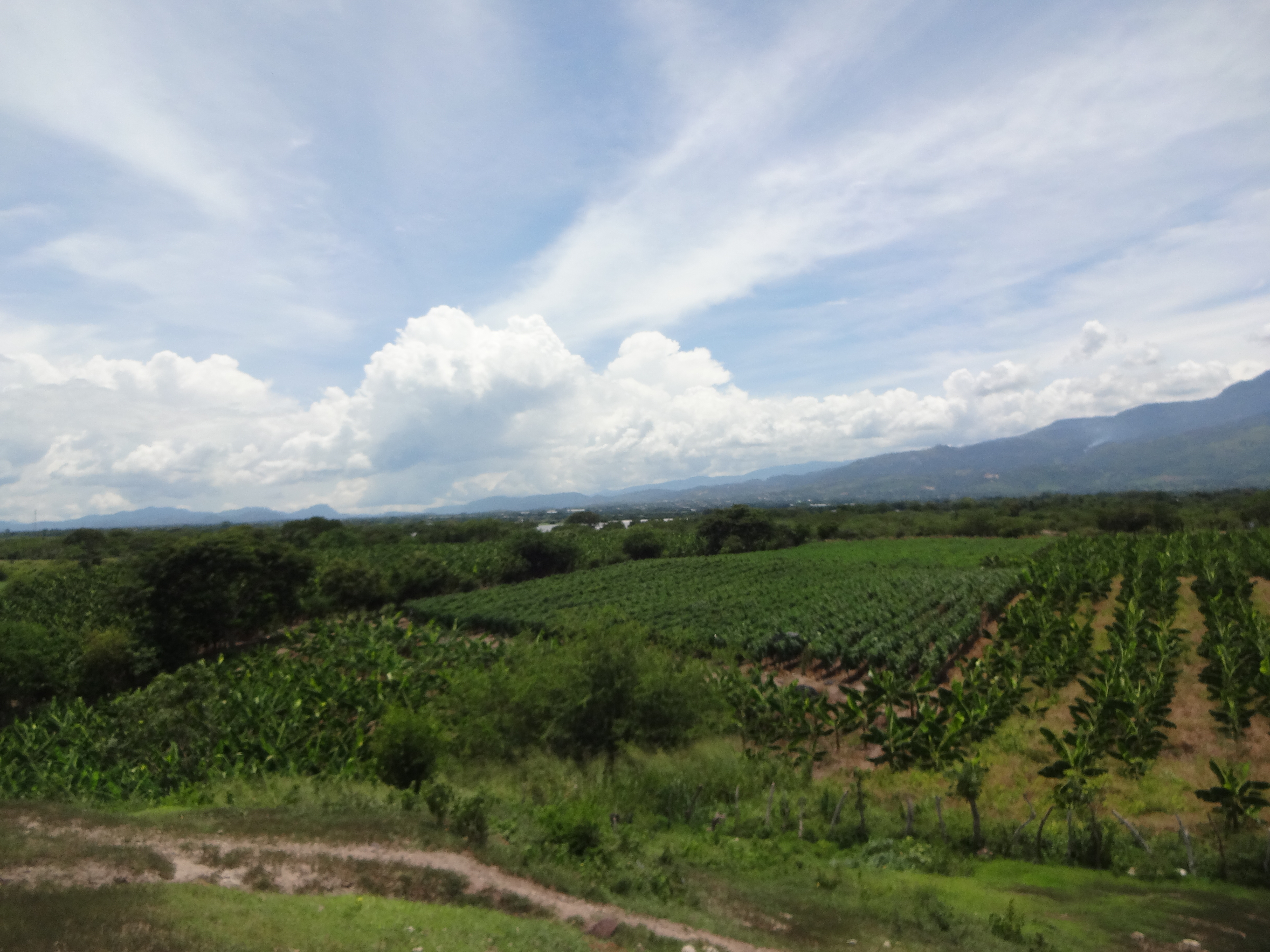 Asi Luce en 2020 "el Chircal" en Yarumela - la paz