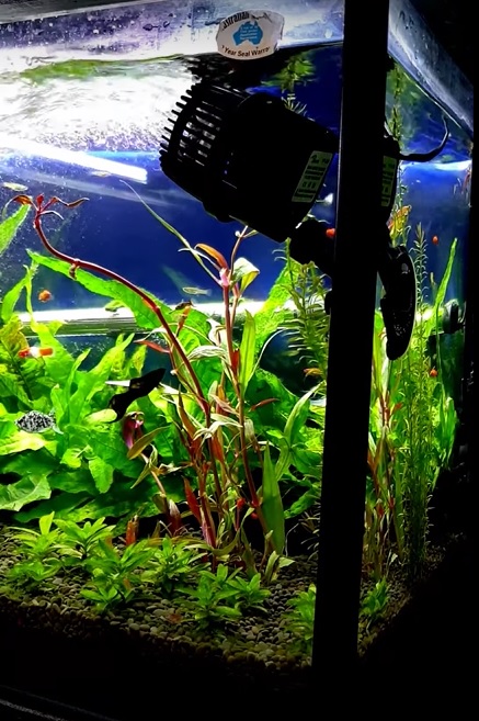 How To Setup Aquarium Wave Maker