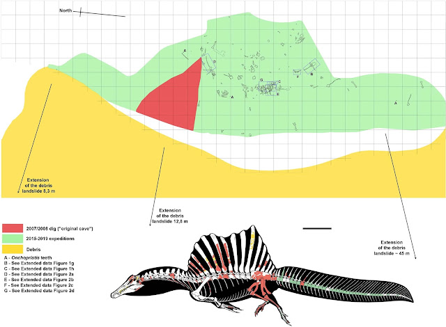 Mark P. Witton's Blog: Spinosaurus 2020: thoughts for artists
