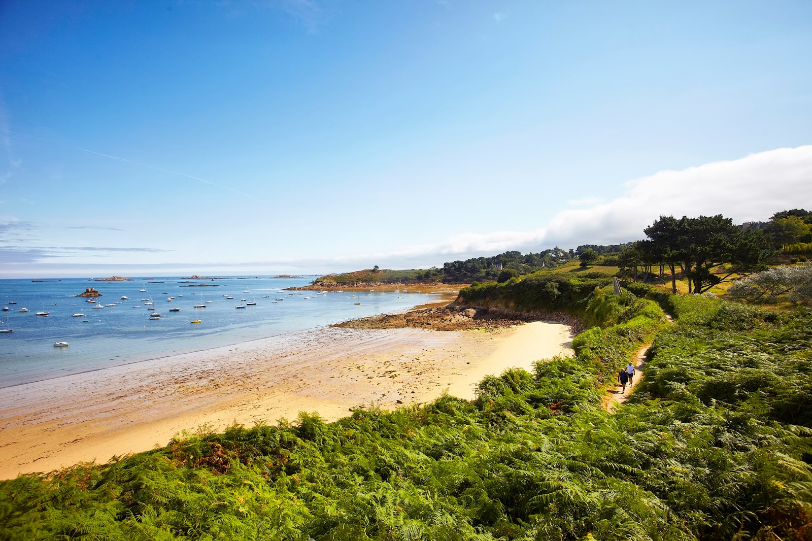 La Villa des pins de Carantec: CARANTEC en Bretagne